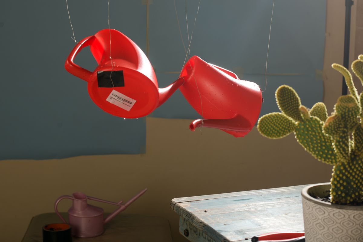 Shoot a gravity-defying still-life photo with essential lighting and ...