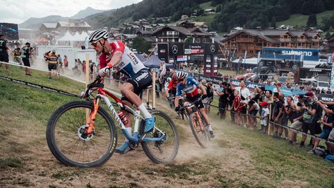 Cross-country mountain bikes: Understanding their anatomy and design ...