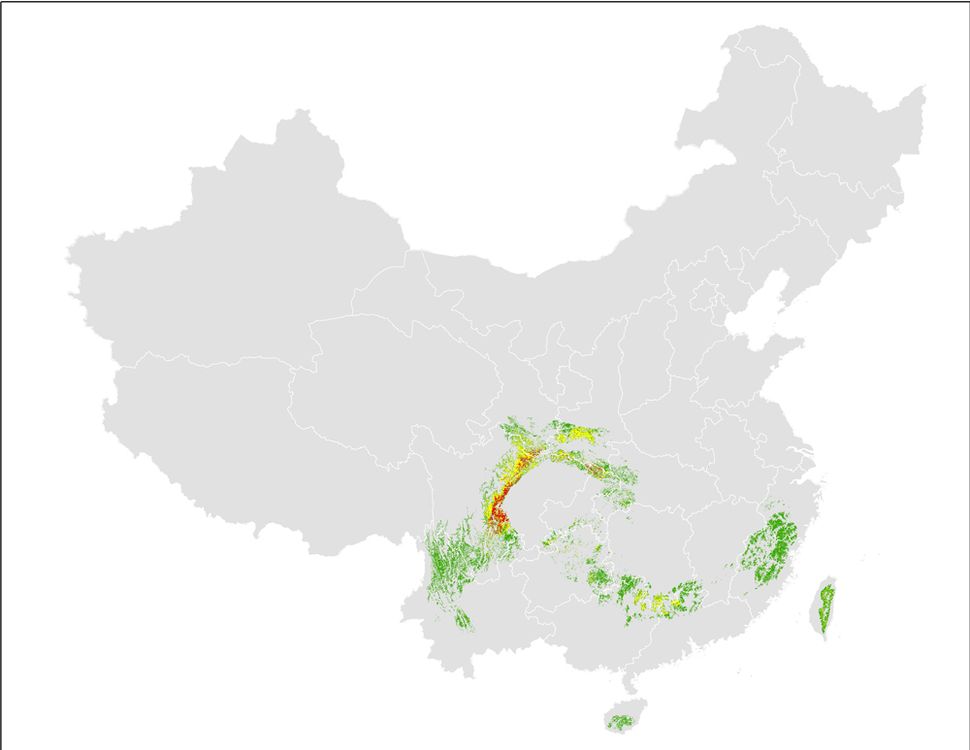 Photos: The Amazing Animals of China | Live Science