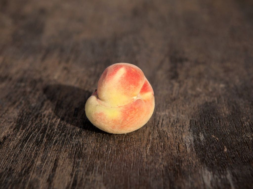 Plant Buttoning - What is Buttoning And How To Prevent It | Gardening ...