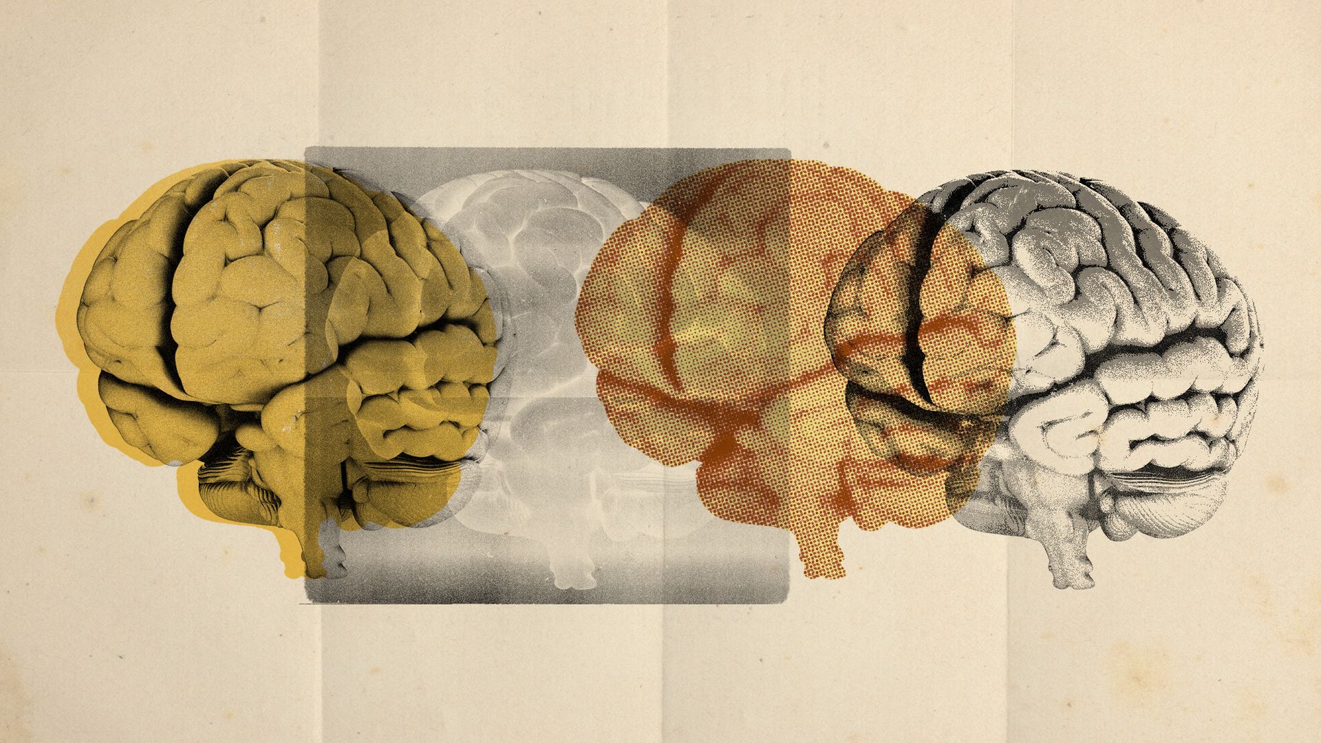 The 4 new autism subtypes | The Week