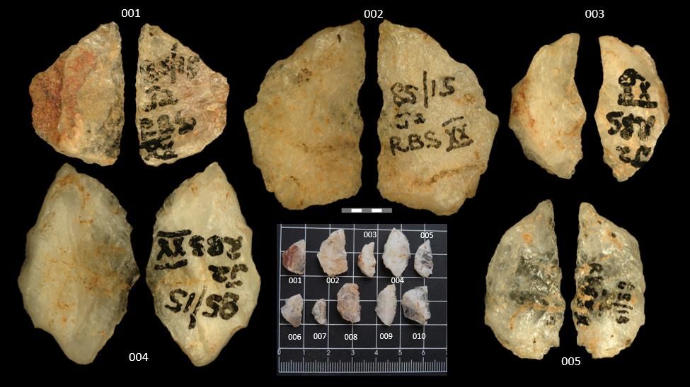 60,000-year-old poison arrows from South Africa are the oldest poison ...