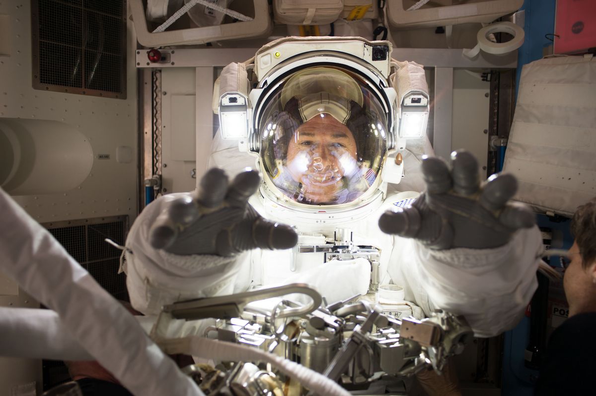 Space Station Photos: Expedition 50 Astronauts in Action: Page 8 | Space