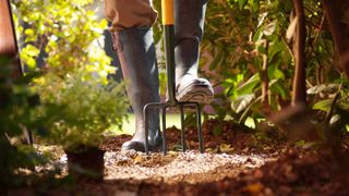 When is the best time to spray weed killer? | Homes and Gardens