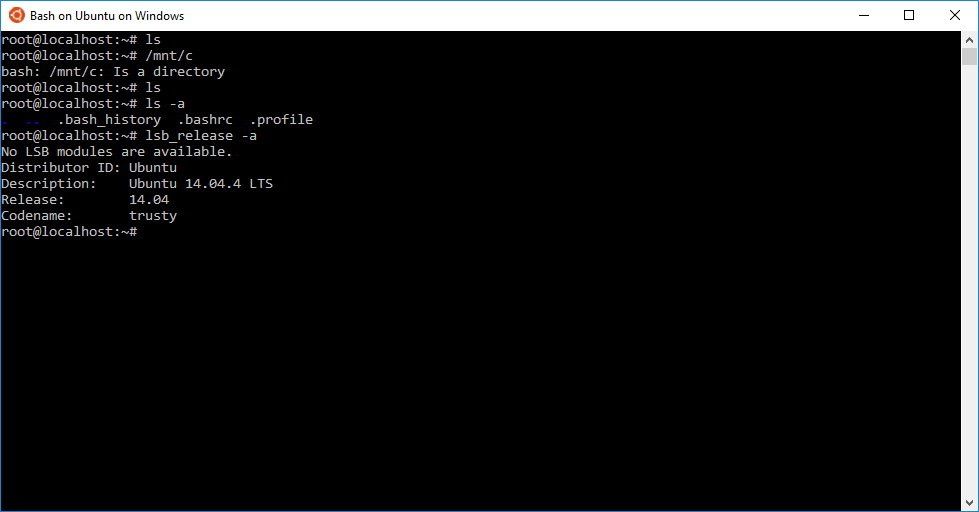 Windows 10 build 14316 for PC: Everything you need to know | Windows Central
