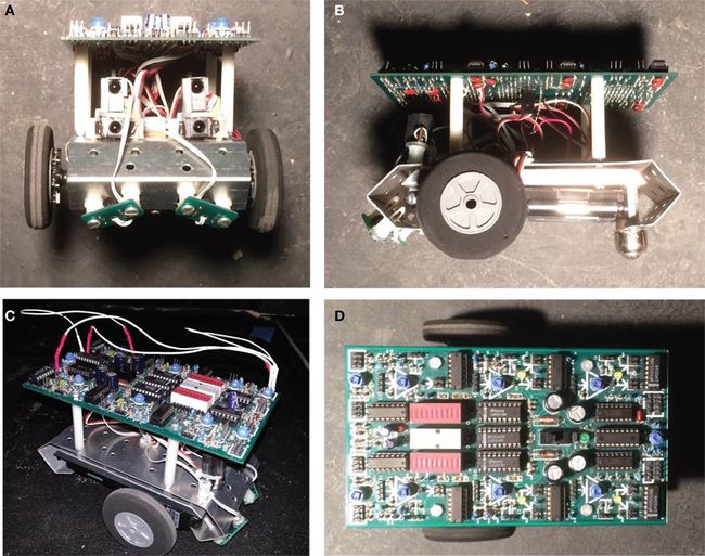 'Mating' Robots Take Fast-Forward Leap in Digital Darwinism | Live Science