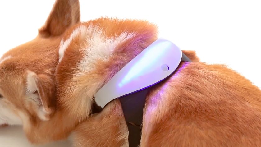 Fantastic beast tech: the wacky world of animal wearables | TechRadar