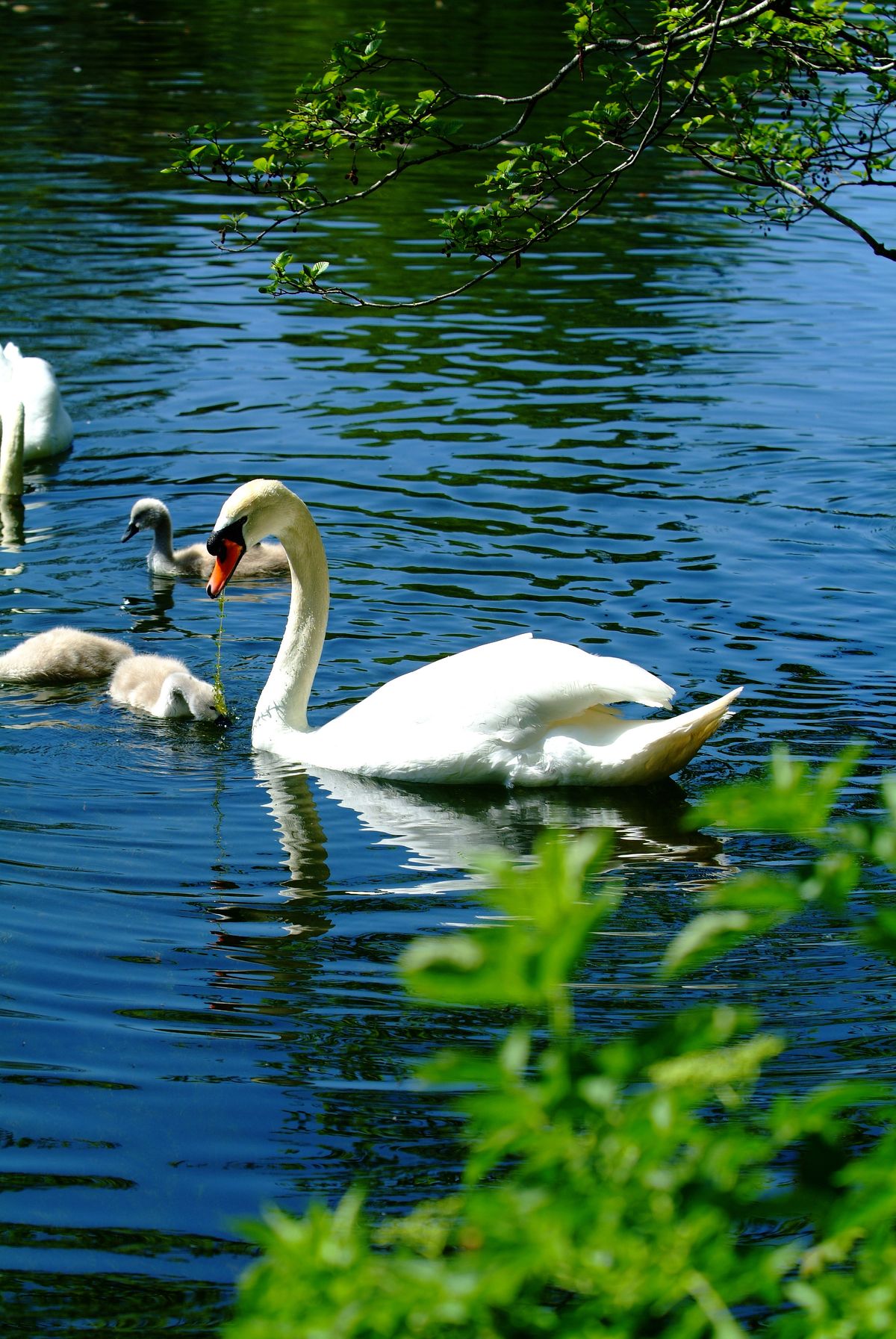 I think CCD sensors are STILL the best, so I'm selling all my CMOS ...