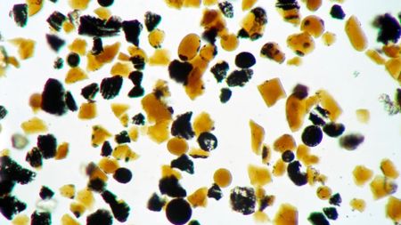 Who Invented Velcro? | Live Science