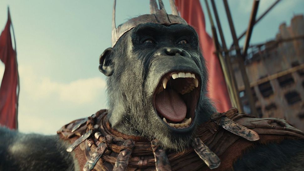 Kingdom Of The Planet Of The Apes: release date, cast, plot | What to Watch
