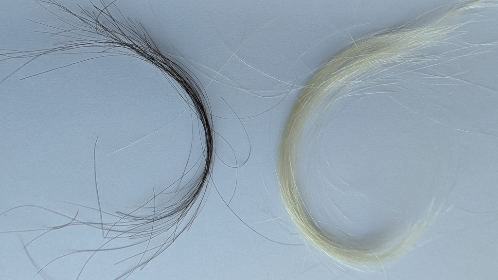 Preserved hair reveals just how bad lead exposure was in the 20th ...