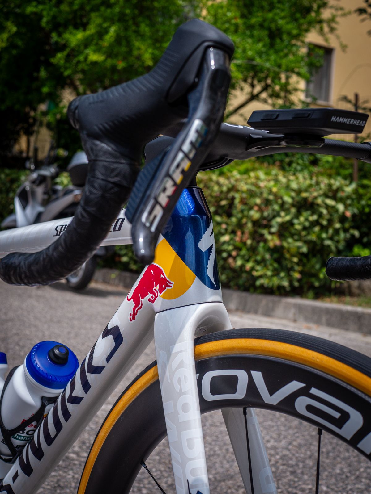 The newest livery in town: Up close with Primož Roglič's Red Bull-Bora ...
