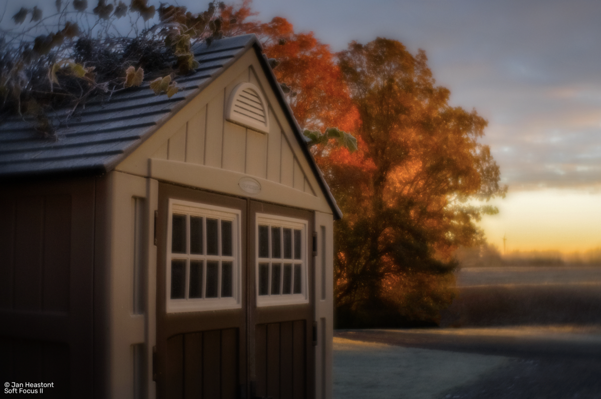 Shoot otherworldly photographs with the new Lensbaby Soft Focus II ...
