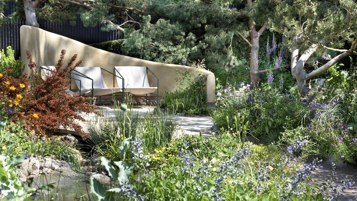 Neighbor's tree blocking sunlight? Here's what to do | Homes and Gardens