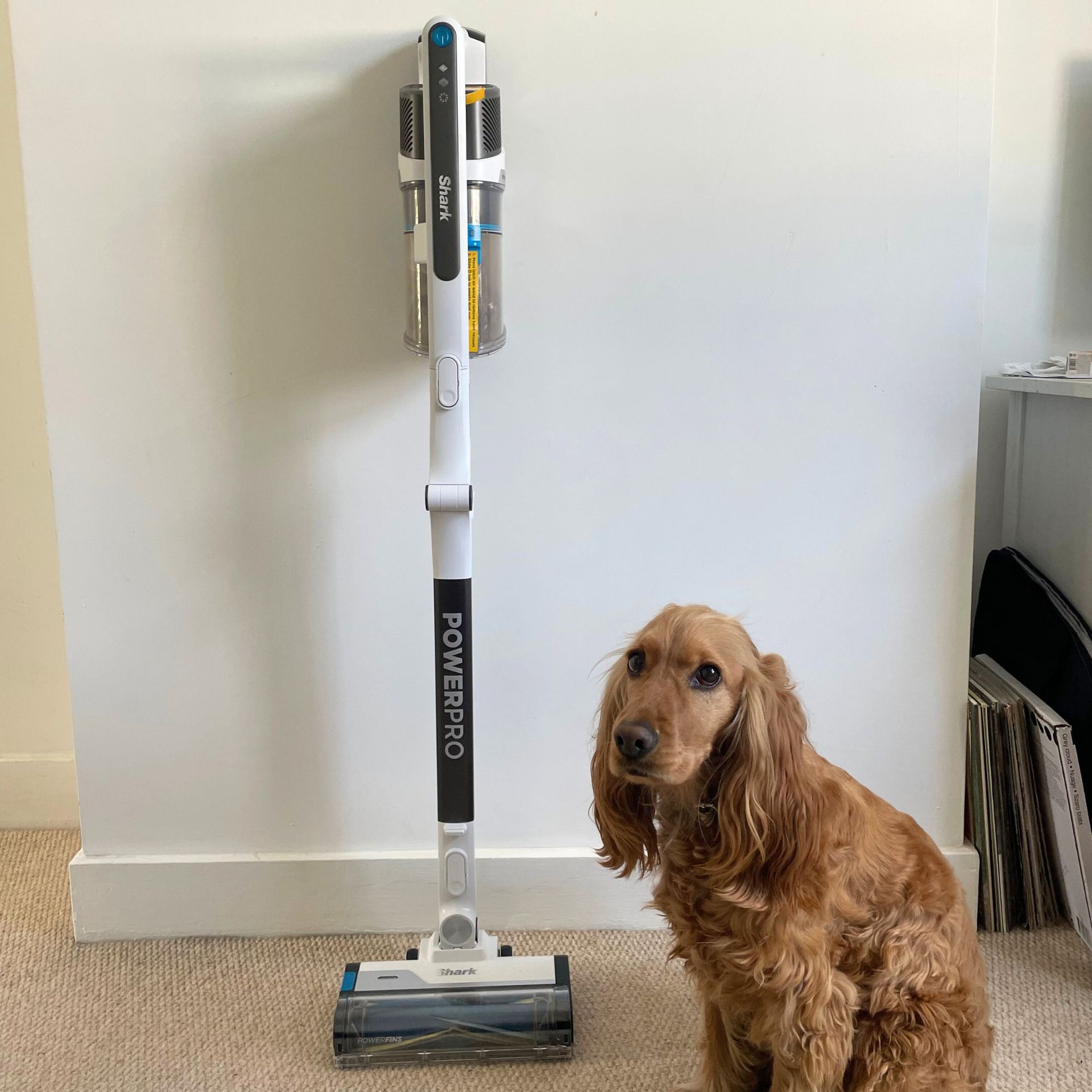 My honest Shark PowerPro Cordless Stick Vacuum Cleaner review | Ideal Home
