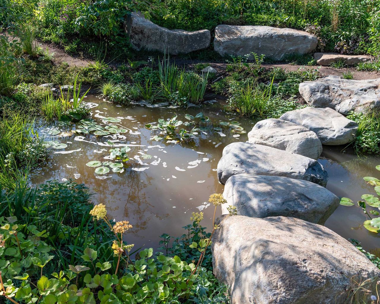 Wildlife pond edging ideas: 10 nature-friendly designs for your ...