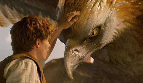 Newt Scamander's Backstory: What You Need To Know About The Fantastic ...
