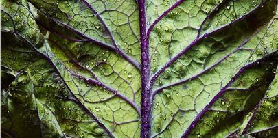 Here's What the Cinderella Weight Challenge Is and Why It's Dangerous ...