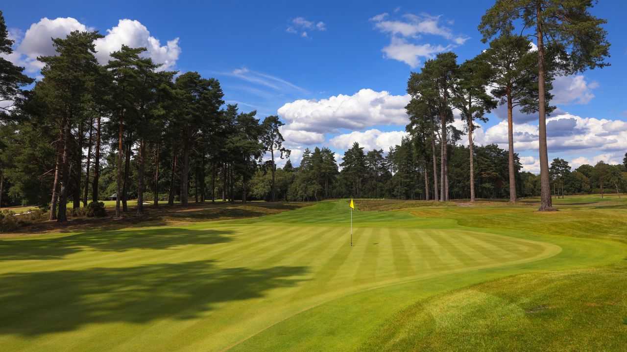 Liphook Golf Club: Course Review, Green Fees, Tee Times and Key Info ...