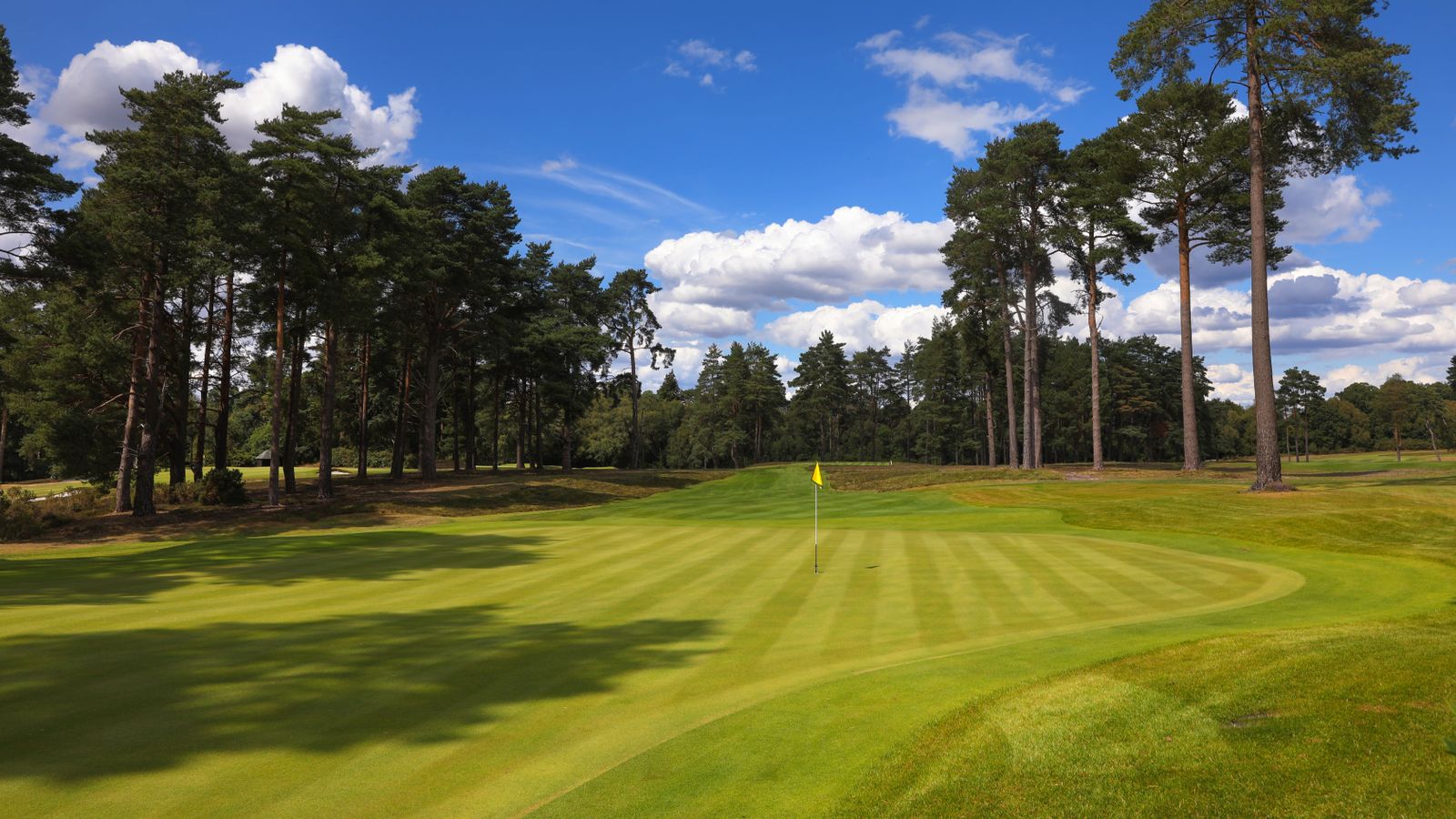 Liphook Golf Club: Course Review, Green Fees, Tee Times and Key Info ...