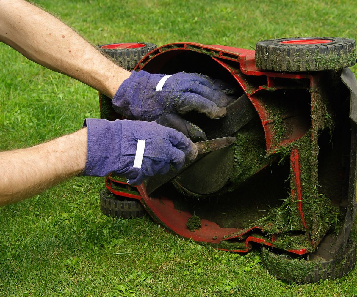 When should I do the first lawn cut of the year? | Homebuilding