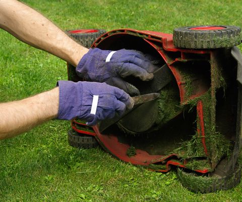When should I do the first lawn cut of the year? | Homebuilding