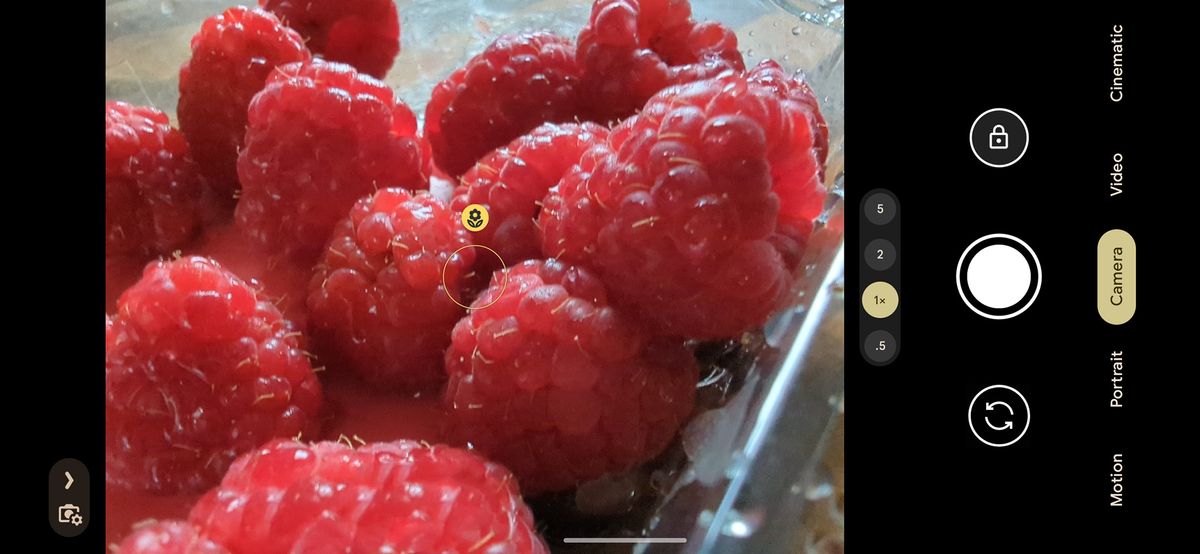 How to use Macro Focus on Pixel 7 Pro | Android Central