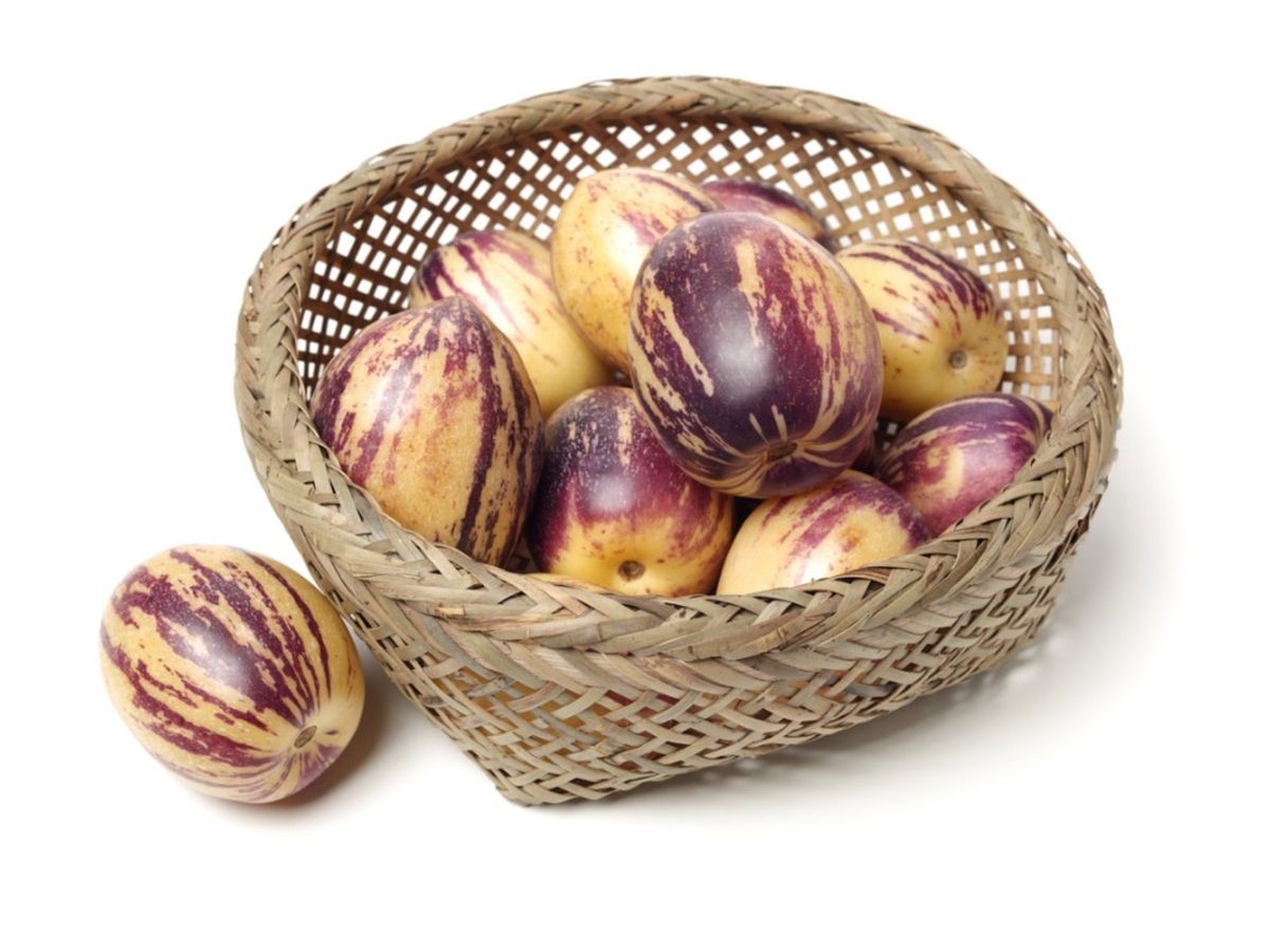 When Is A Pepino Melon Ripe - Learn About Harvesting Pepinos In The ...