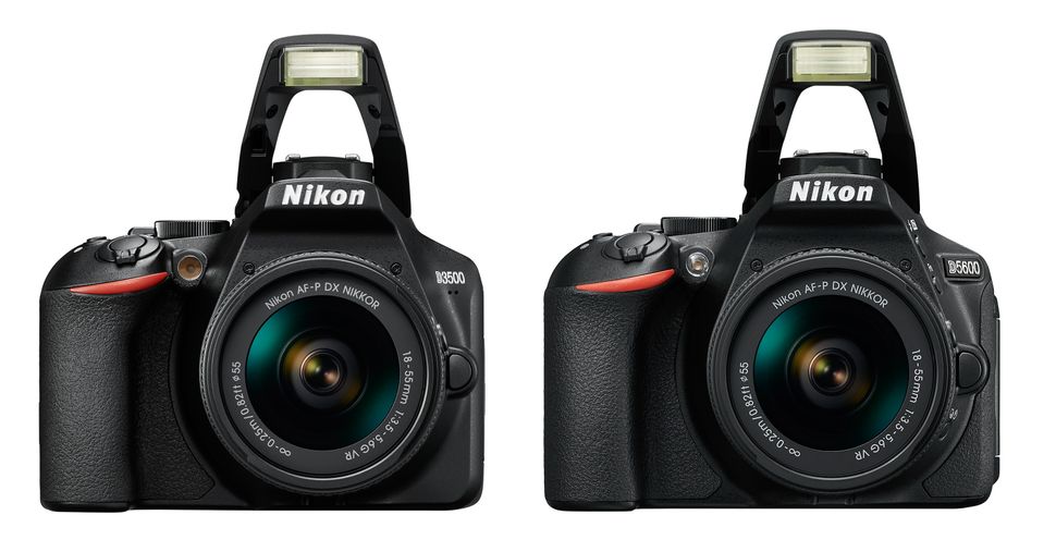 Nikon D3500 vs D5600: which is best? | Digital Camera World