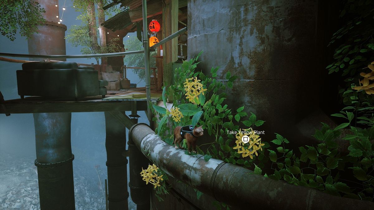 Stray plants: where are the purple, red and yellow flowers | TechRadar