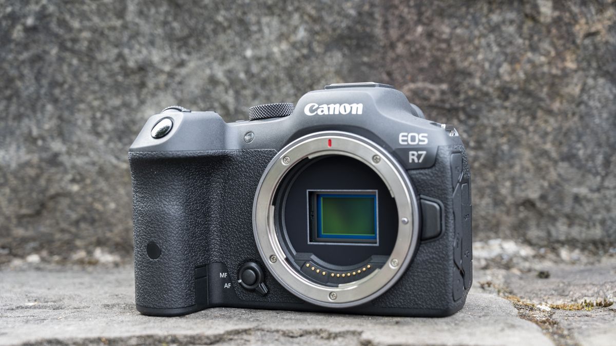Canon EOS R7 review: the sweet spot for hobbyist shooters | TechRadar