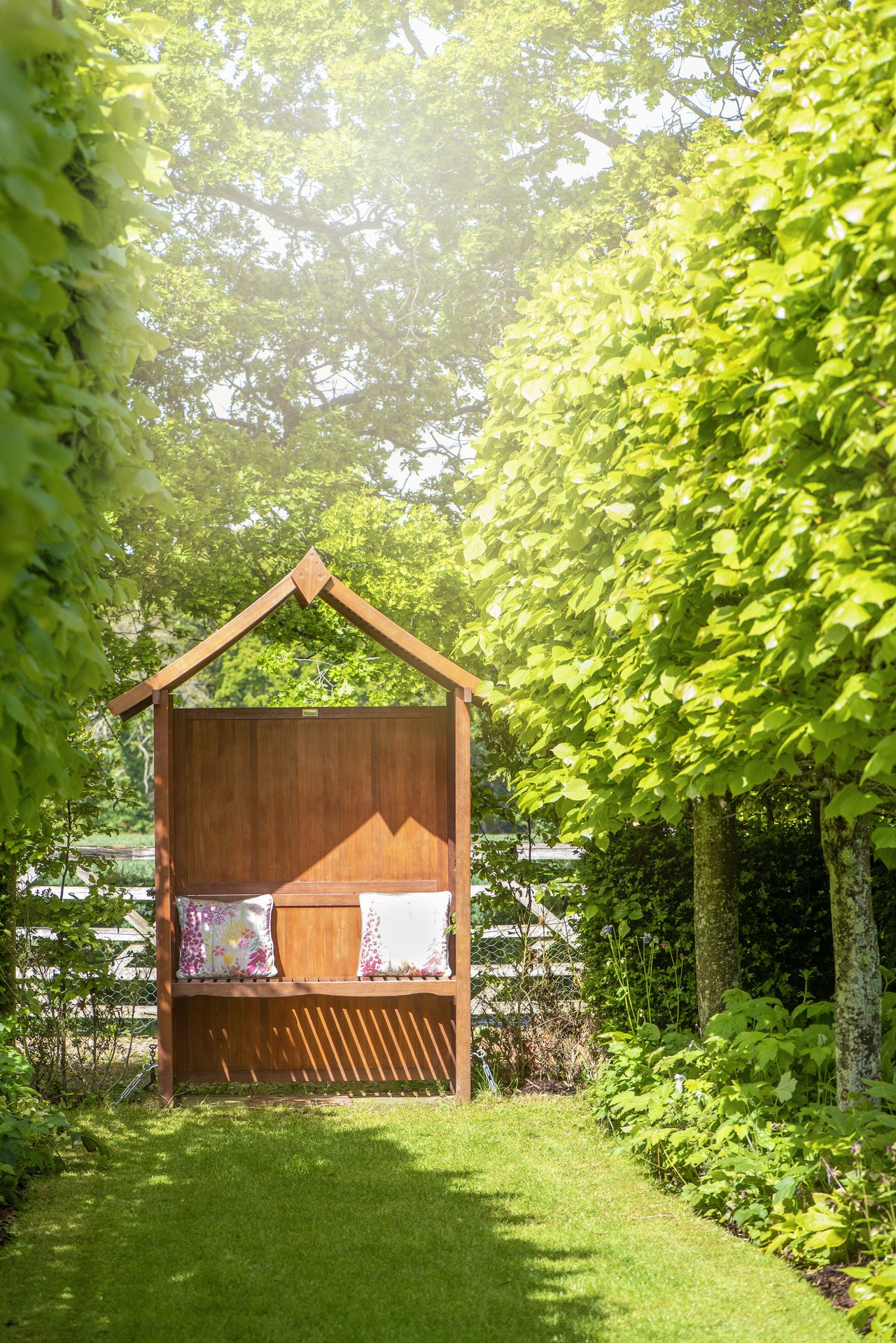 Best trees for privacy – 13 varieties recommended by experts | Livingetc