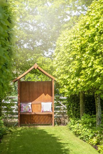 Best trees for privacy – 13 varieties recommended by experts | Livingetc