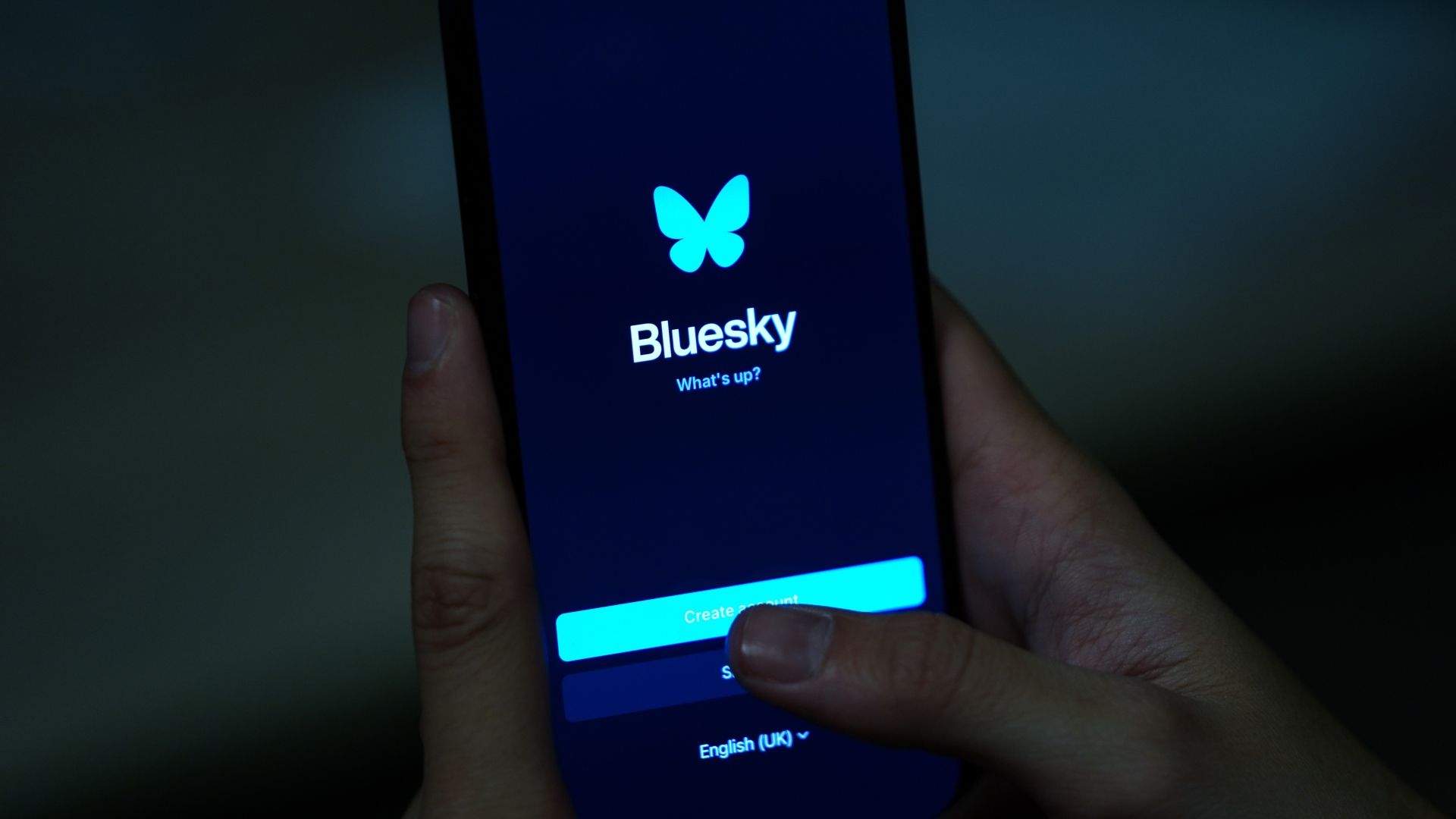 Is Bluesky down? — LIVE status updates on the social network | Windows ...