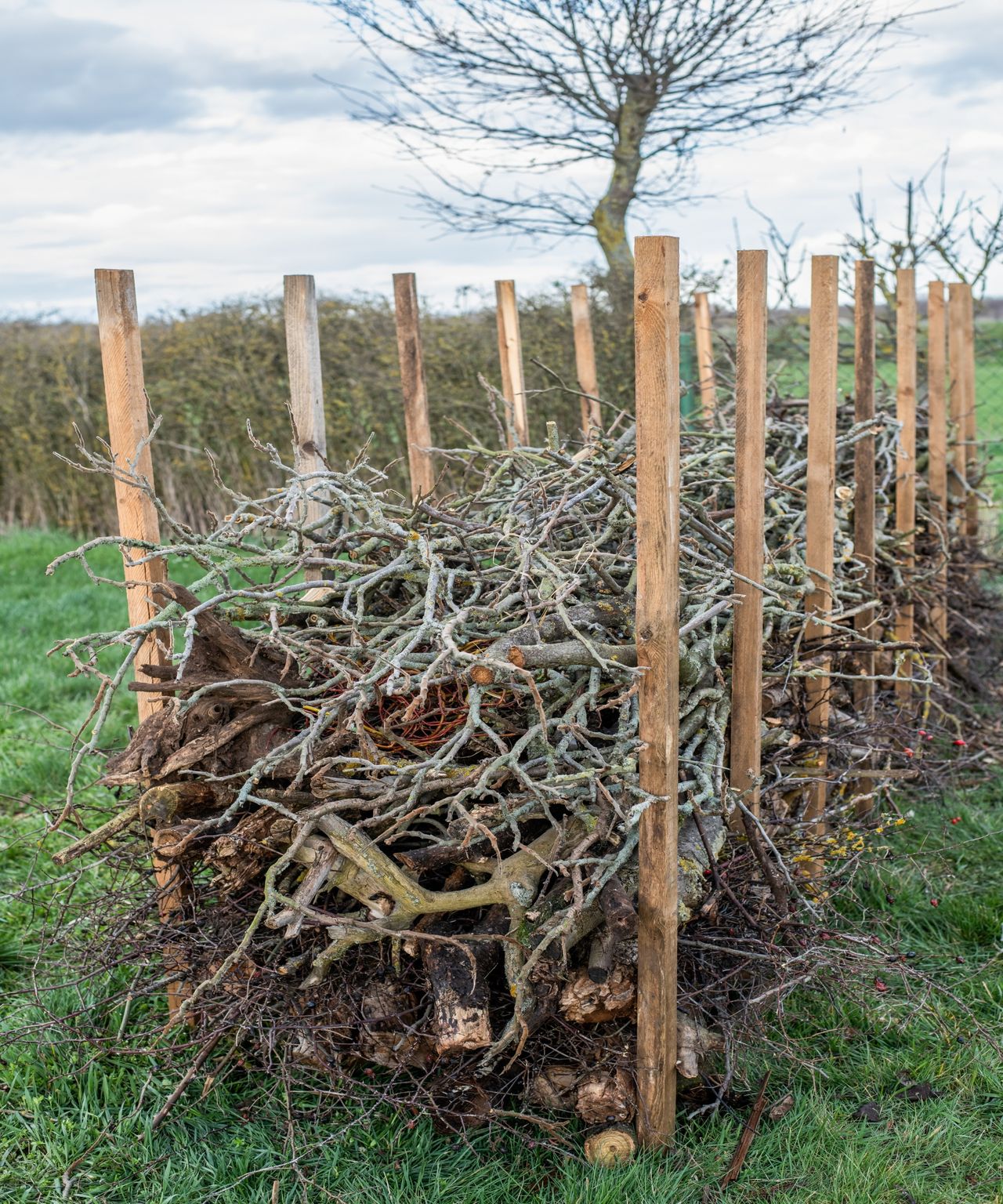 DIY wildlife shelters: 4 ideas help backyard creatures in winter ...