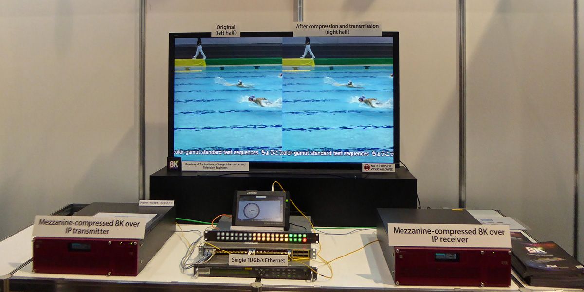 The Case for Open-Source Codecs | AVNetwork