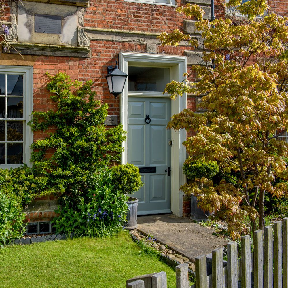 The UK is experiencing a ladybird invasion – here's why | Ideal Home