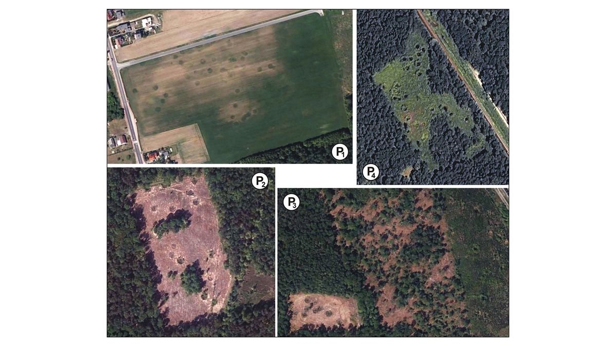 6,000 WWII-era bomb craters mapped in Poland | Live Science