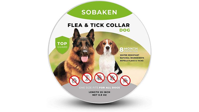 Best flea collars for dogs: Protect pooches from parasites | PetsRadar