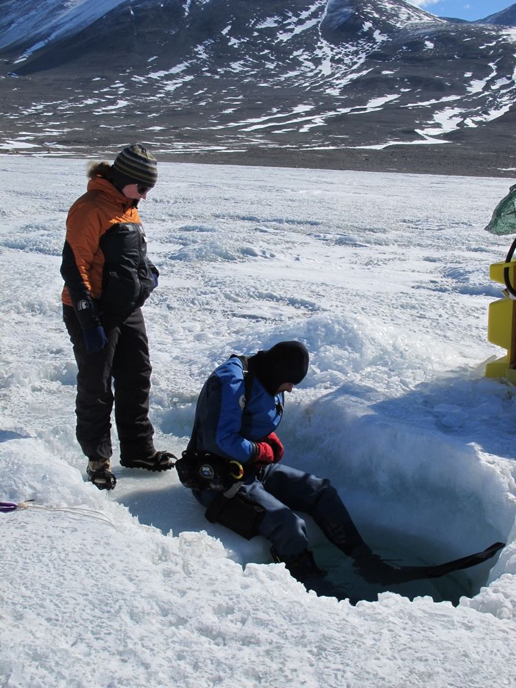 Antarctic Microbes Hold Clue to Earth's Oxygen | Space