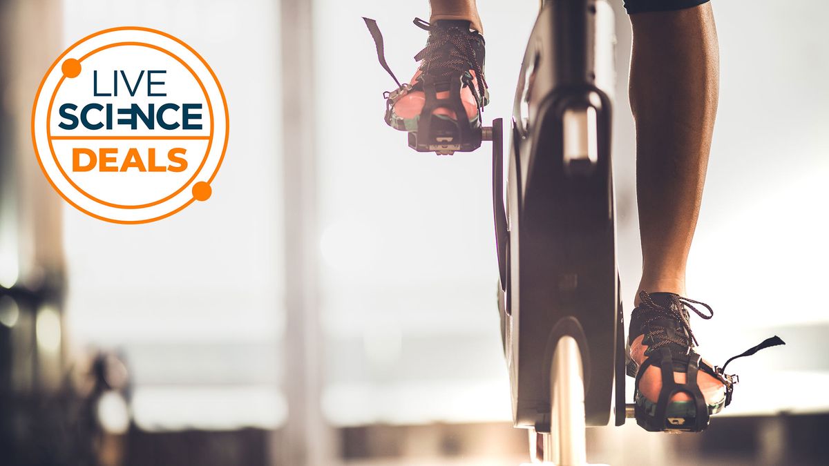 Attention, spin class fanatics! Your favorite cycling shoes are now at ...