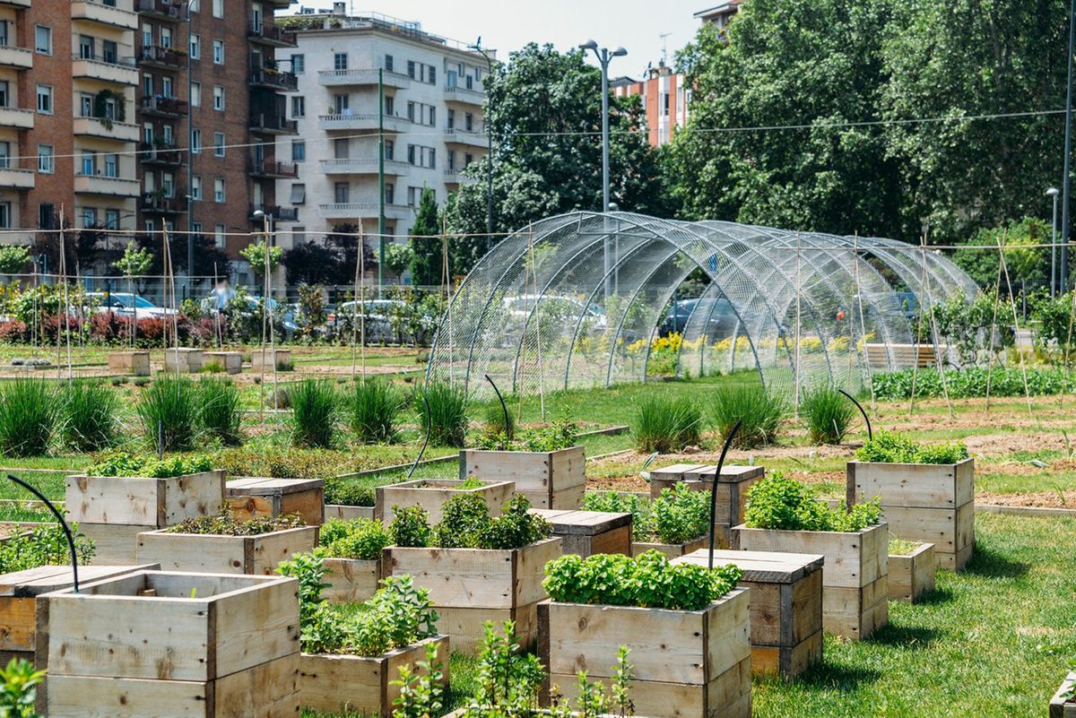 What Is Urban Agriculture: Learn About Benefits Of Urban Agriculture ...