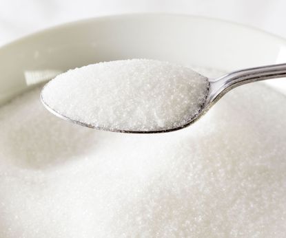 Does sugar water help revive a Christmas tree? Experts explain | Homes ...