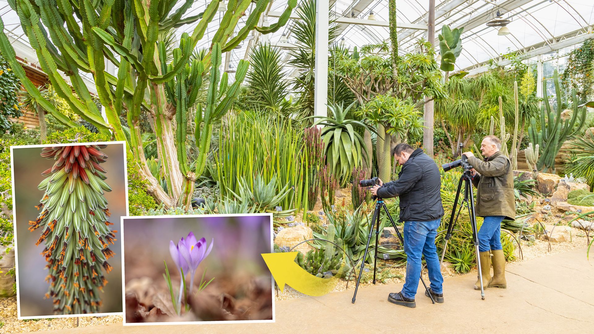 10 tips for amazing close-up photos of flowers with a Canon EOS camera ...
