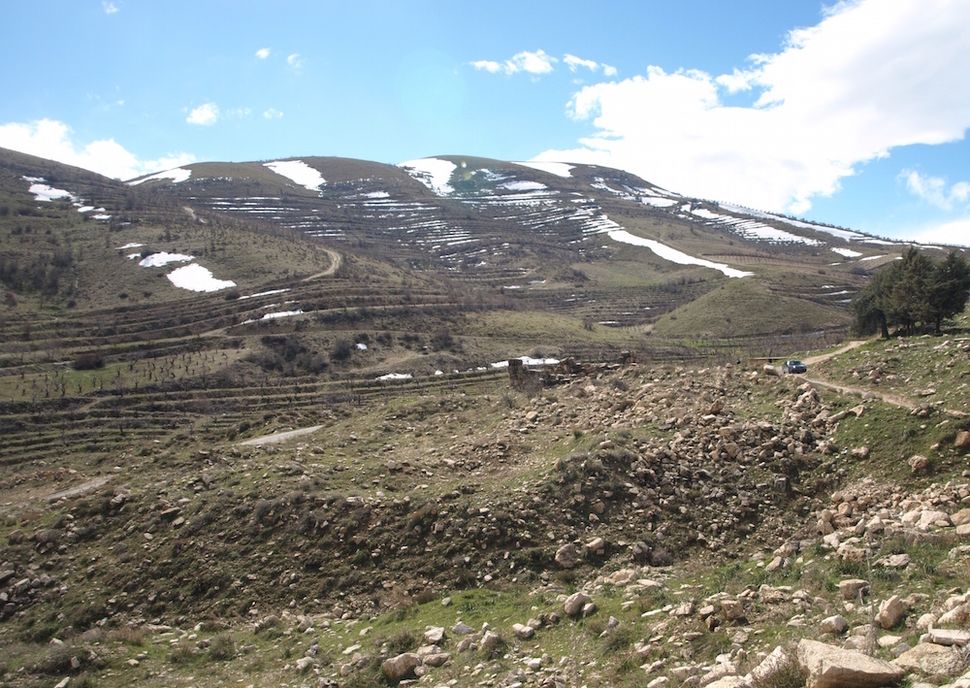 Photos: Centuries of History Revealed Beneath Roman Ruins | Live Science