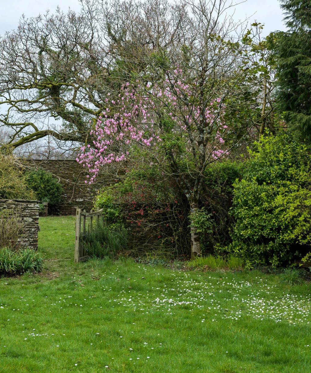 When to aerate a lawn: for a gorgeous grass lawn | Homes and Gardens