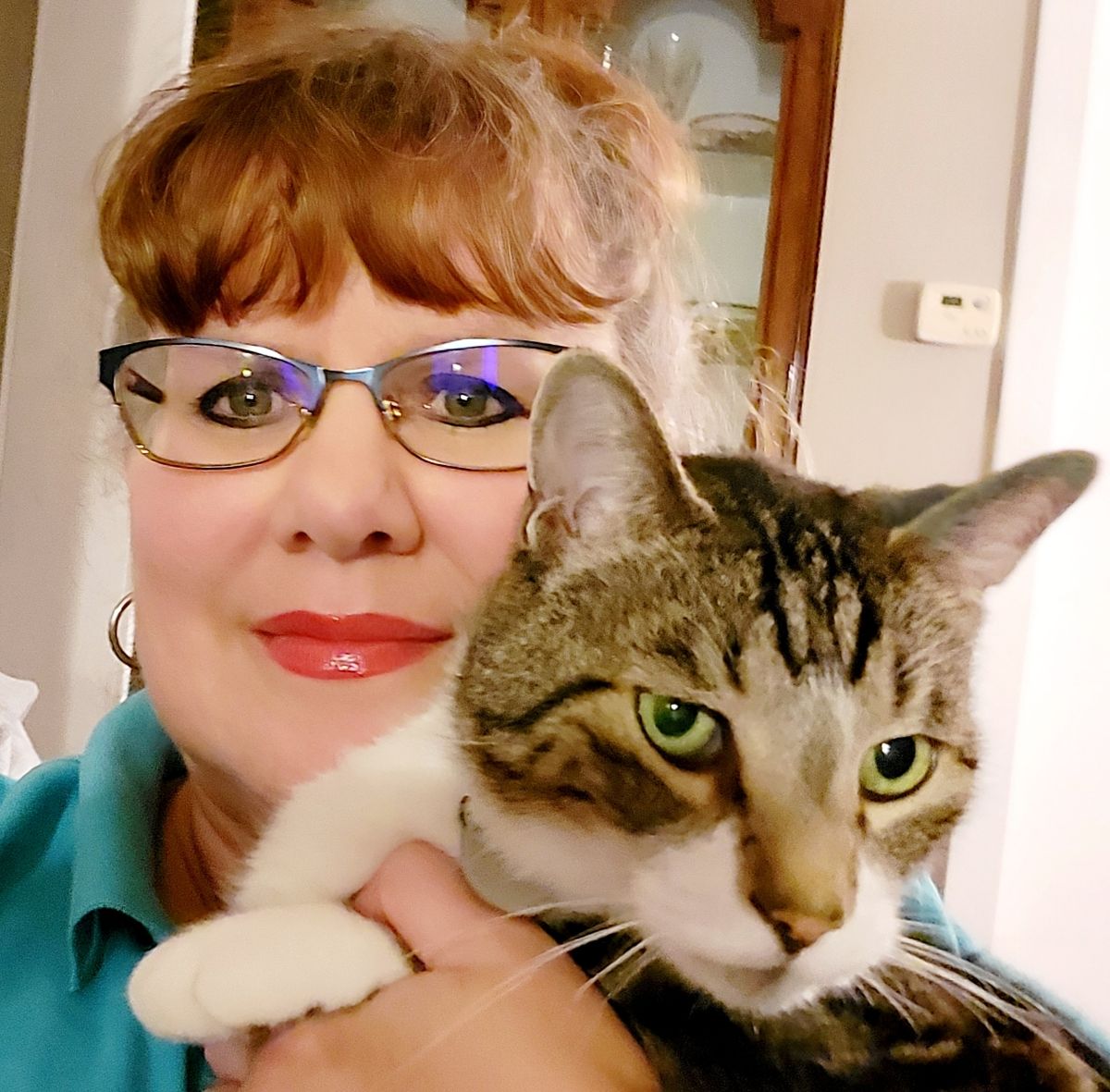 How PetsRadar finds the best deals | PetsRadar