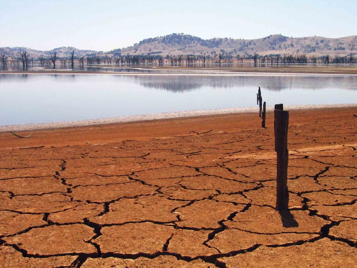 The science behind some of the world's worst droughts | The Week