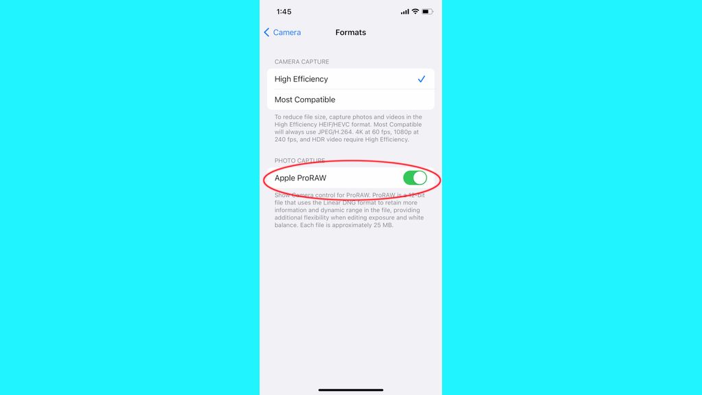 11 hidden iPhone camera tips everyone needs to know | Tom's Guide