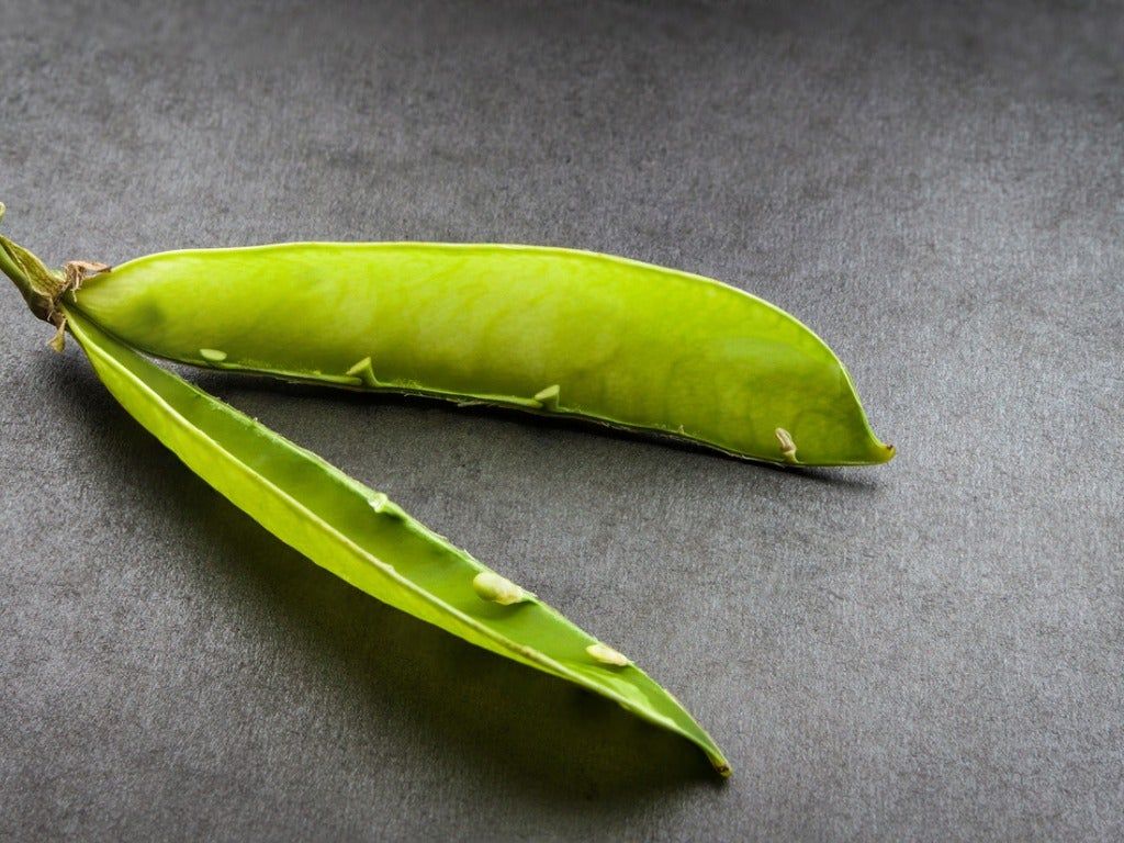 Veggies With Empty Pods – What Causes A Pod Without Peas Or Beans ...